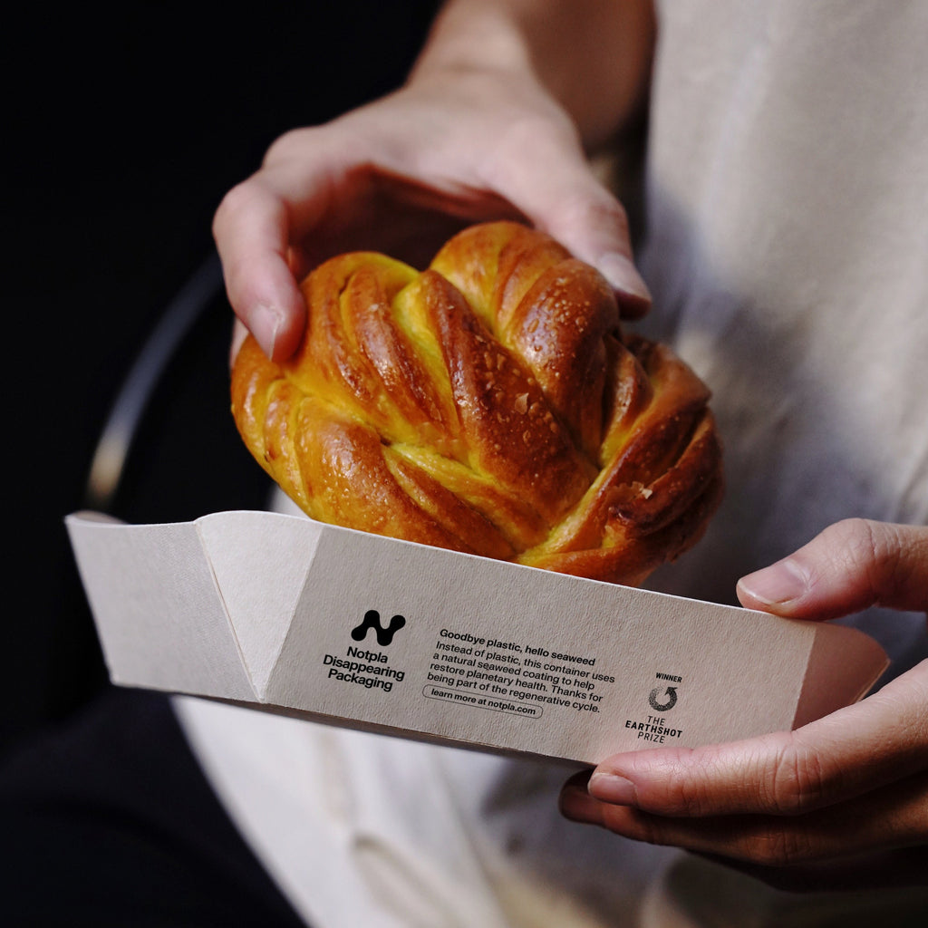 Notpla Square Tray - with seaweed coating – Notpla Packaging