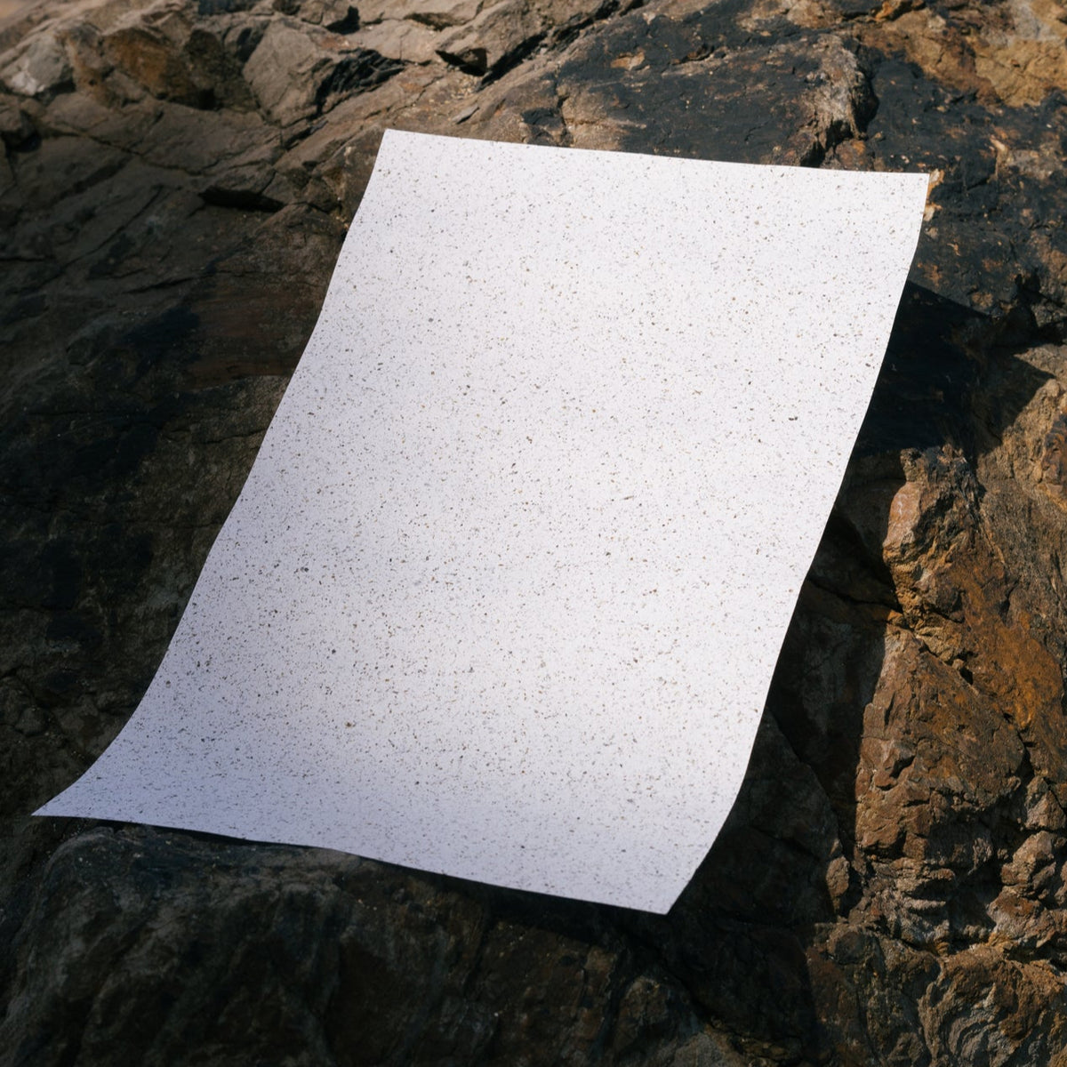 Notpla Seaweed Paper [A5 - 140gsm] – Notpla Packaging